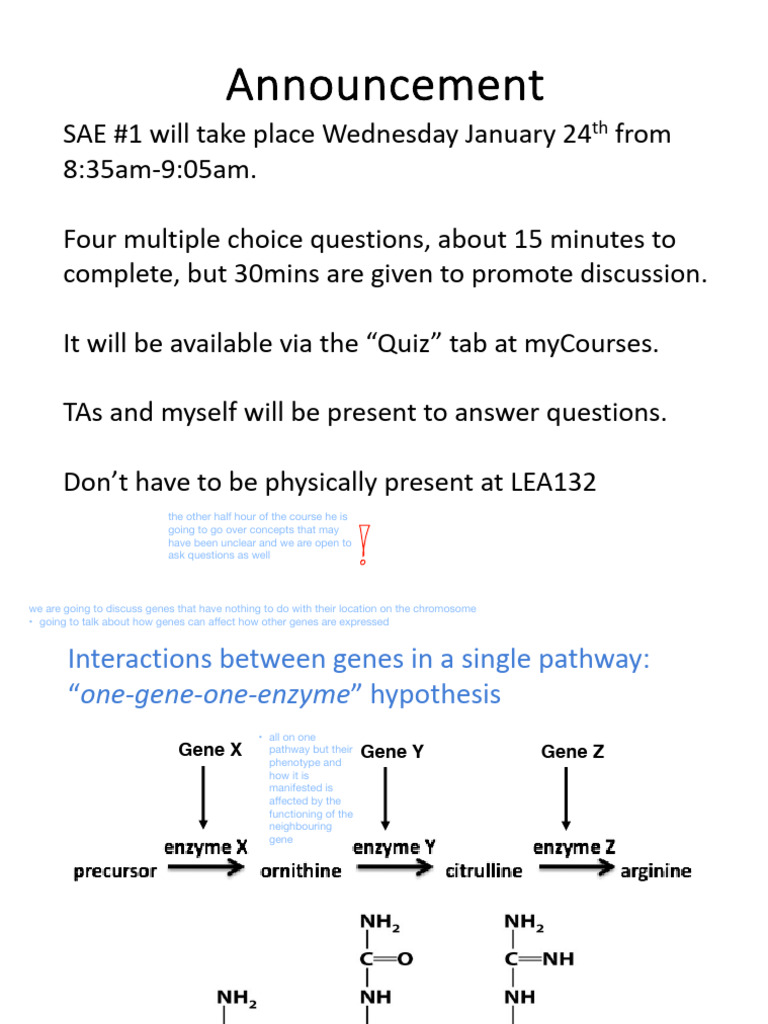8 Genetic Interaction | PDF | Dominance (Genetics) | Epistasis