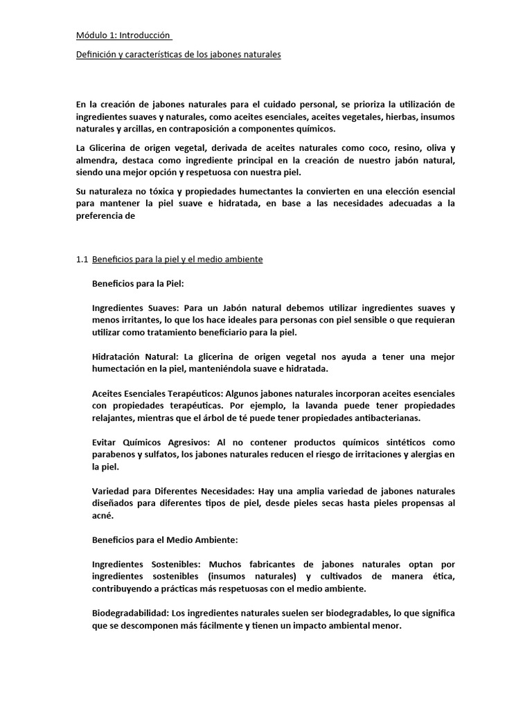 Curso. Modulo 1 | PDF