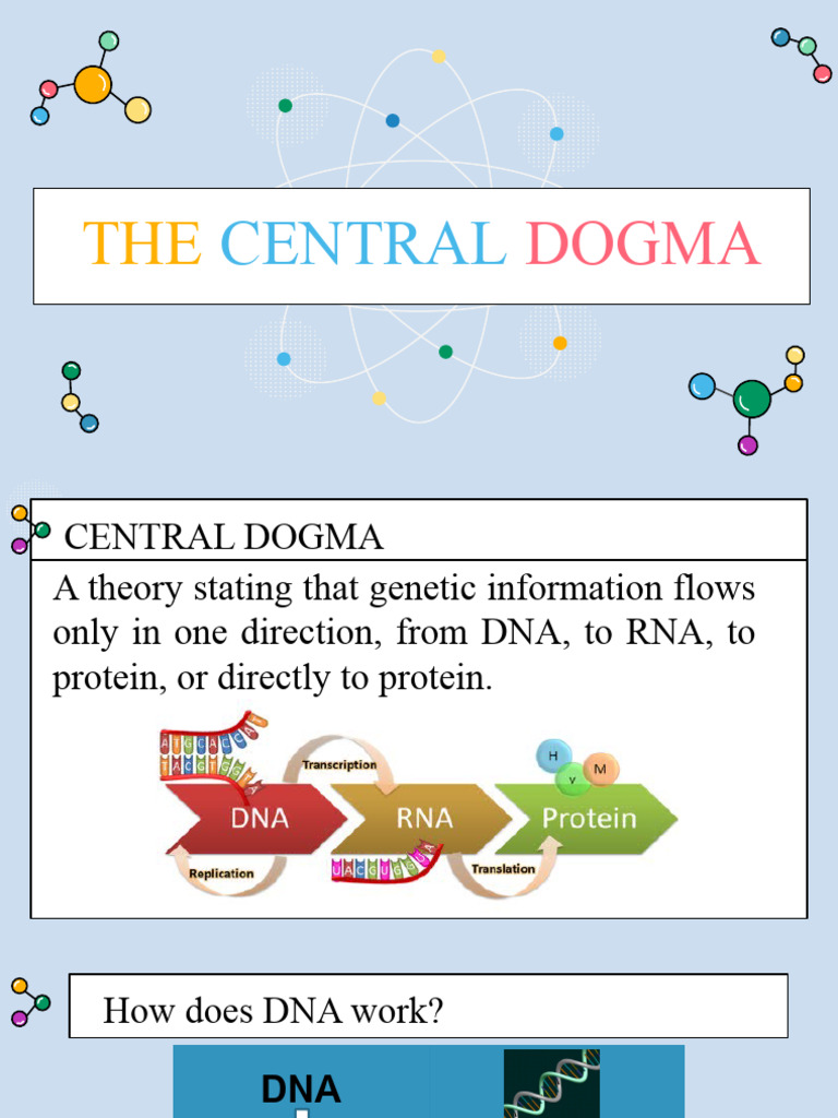 Central Dogma | PDF | Translation (Biology) | Rna