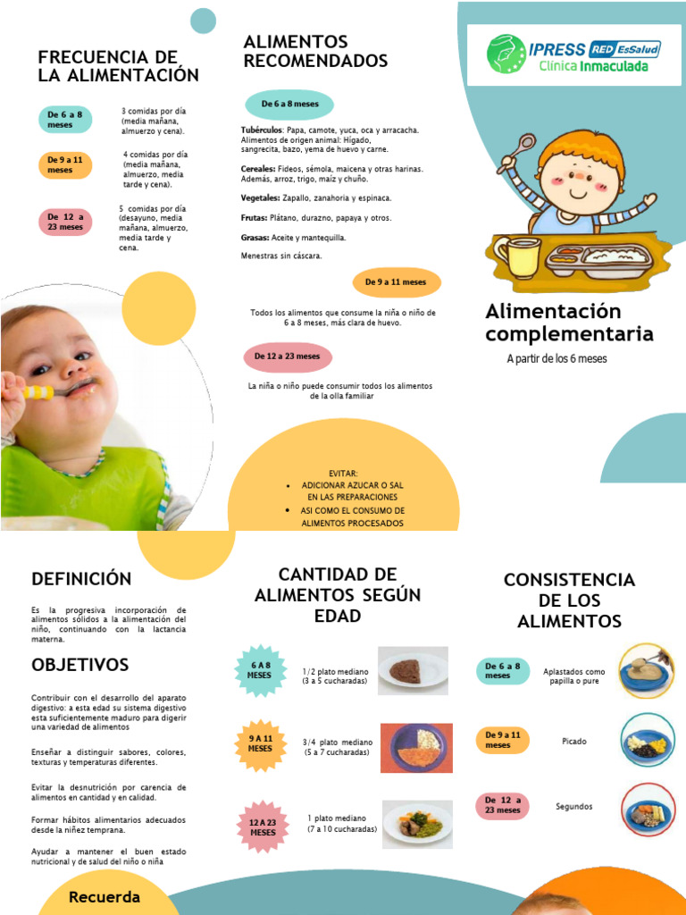 Alimentacion-Complementaria TRIPTICO | PDF | Alimentos | Huevo como alimento