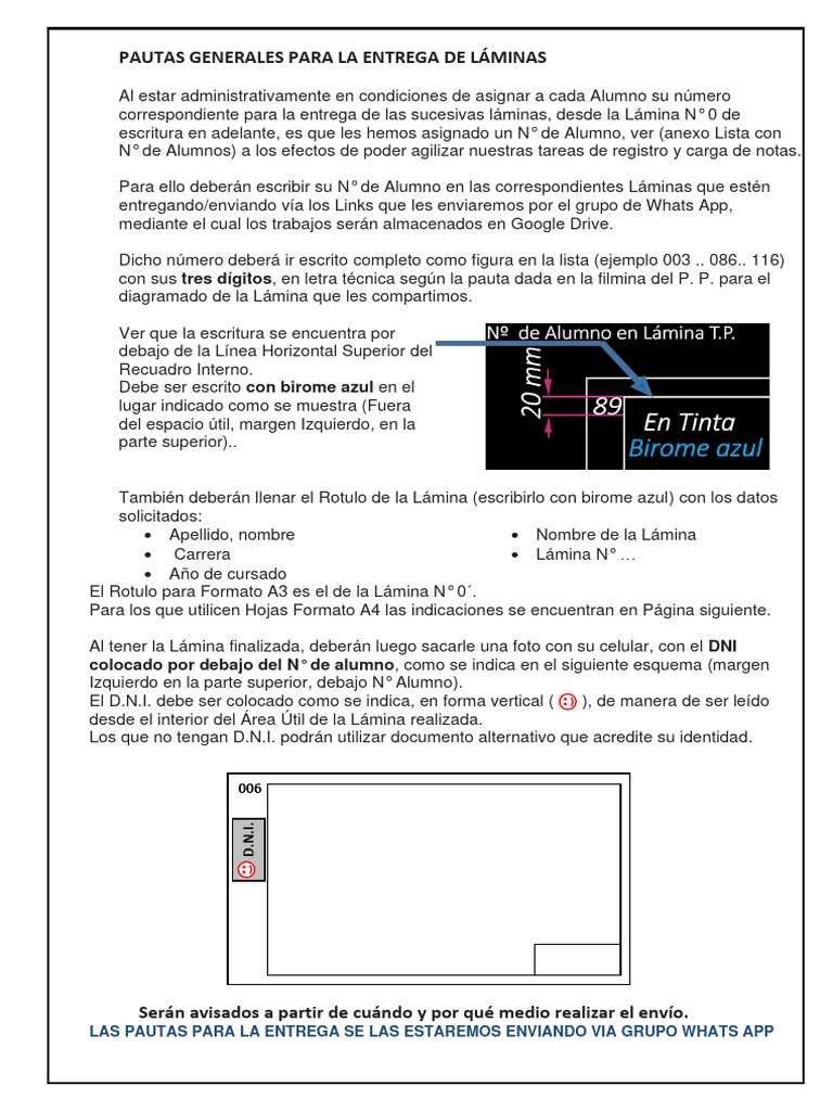 Formato Lamin Nroalumno Entrega de Láminas 2021 | PDF