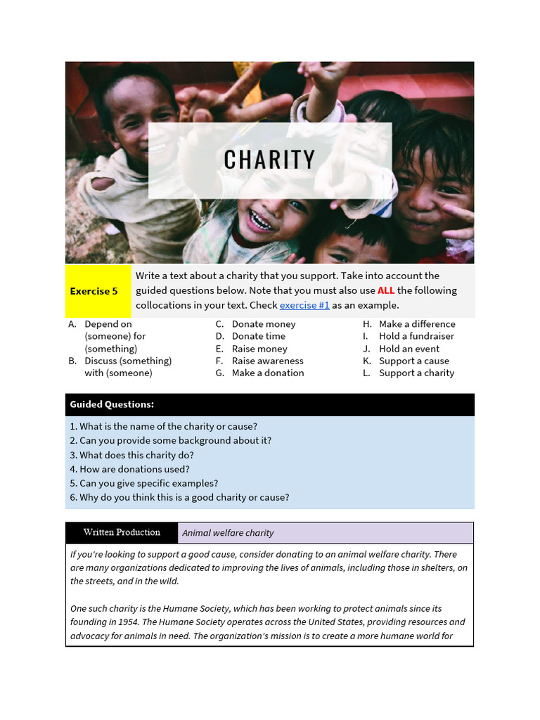 Charity Support Exercise | PDF | Charitable Organization | Fundraising