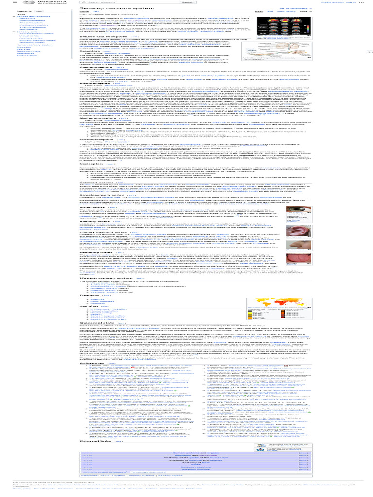 Sensory Nervous System - Wikipedia | PDF | Visual Cortex | Senses