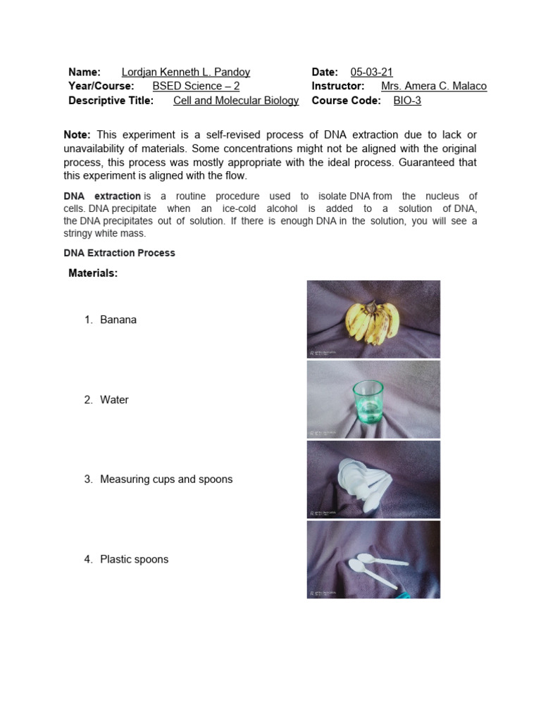 Bio3 Assignment 04 (Dna Extraction) - Pandoy | PDF | Dna | Cell (Biology)