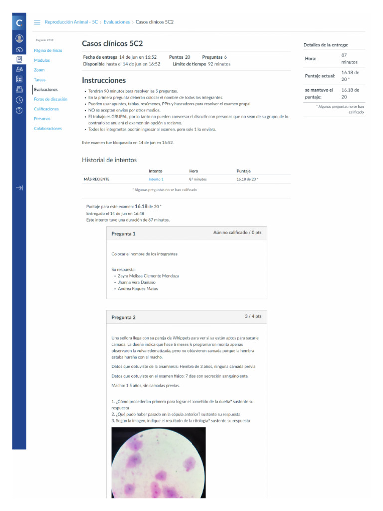 Exam Caso Clinico - Repro 5c2 | PDF