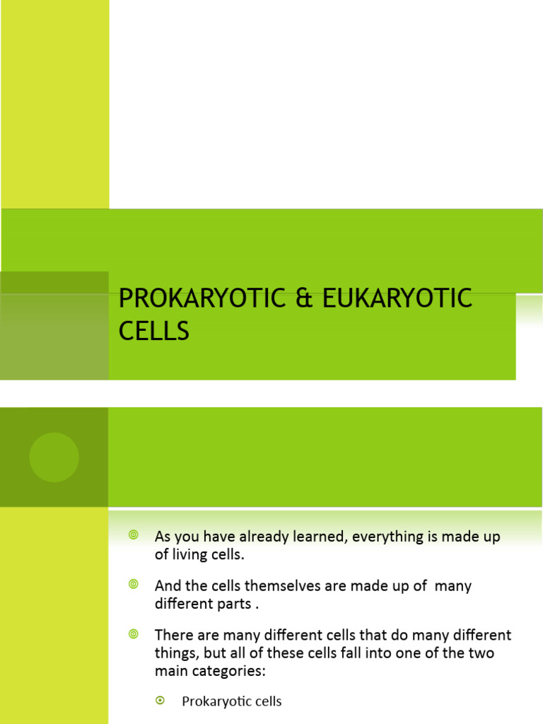 Prokaryotic vs Eukaryotic Cells Explained | PDF | Cell (Biology ...