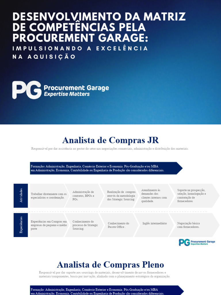 Matriz de Competências Procurement Garage | PDF