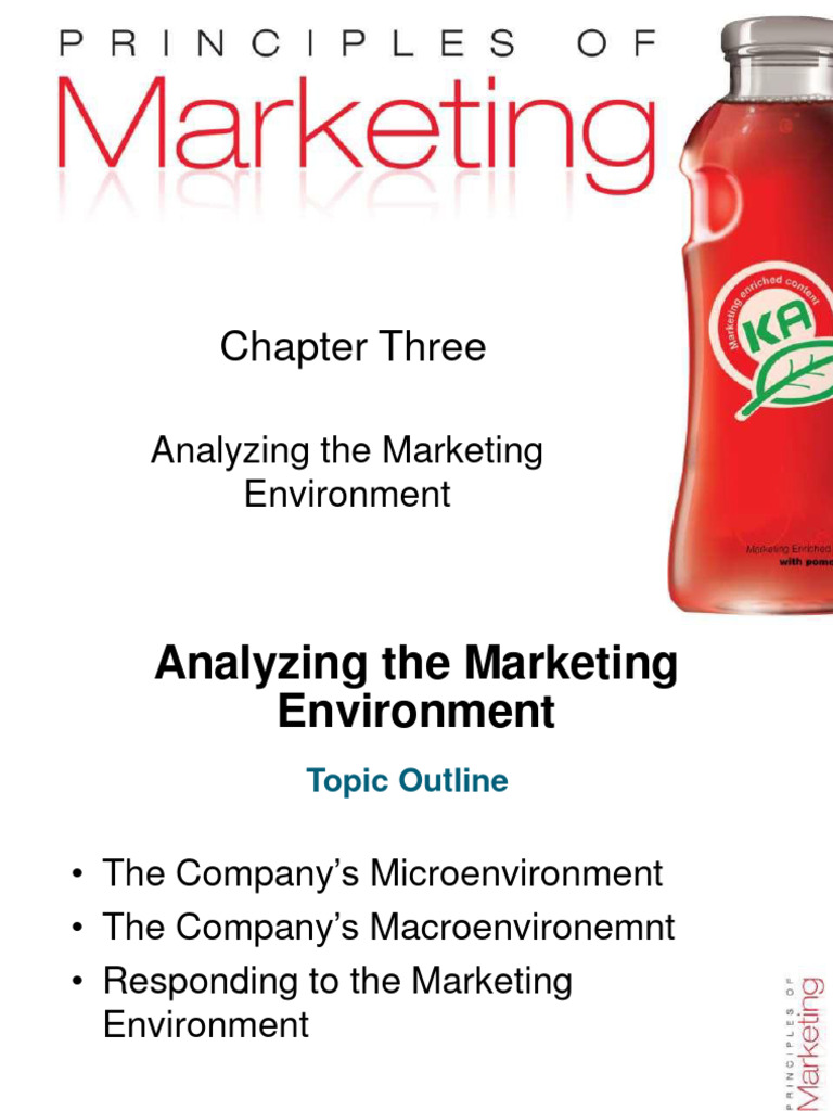 Analyzing The Marketing Environment Pdf Marketing Economies