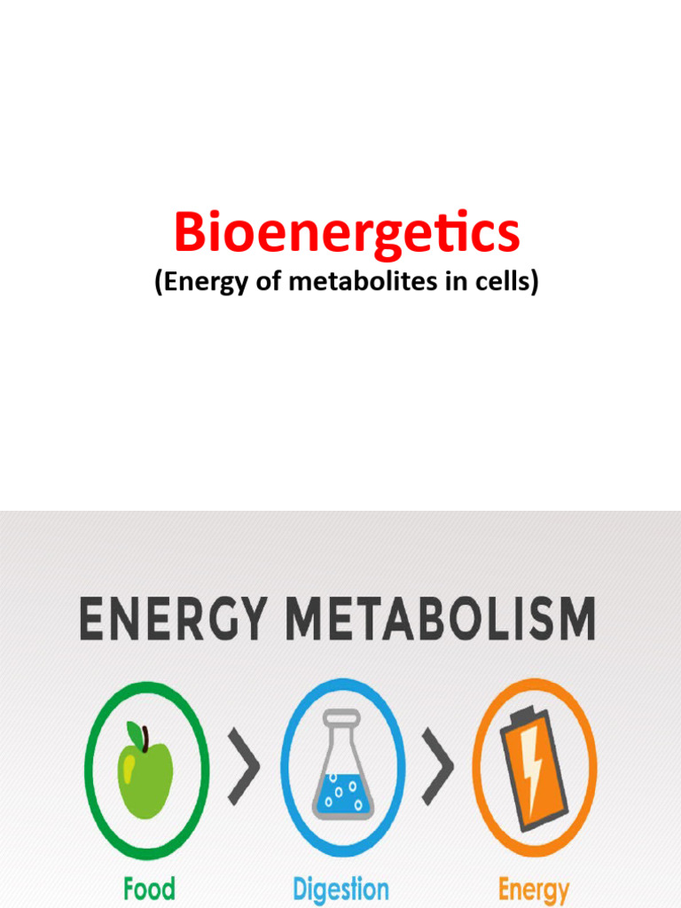 Bioenergetics MD Physioth | PDF | Diet & Nutrition | Chemistry