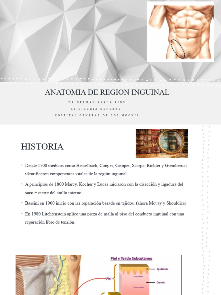 Anatomía del Conducto Inguinal | PDF | Abdomen | Sistema musculoesquelético