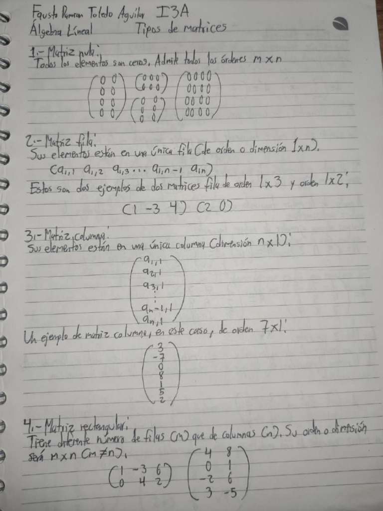 Tipos de Matrices | PDF