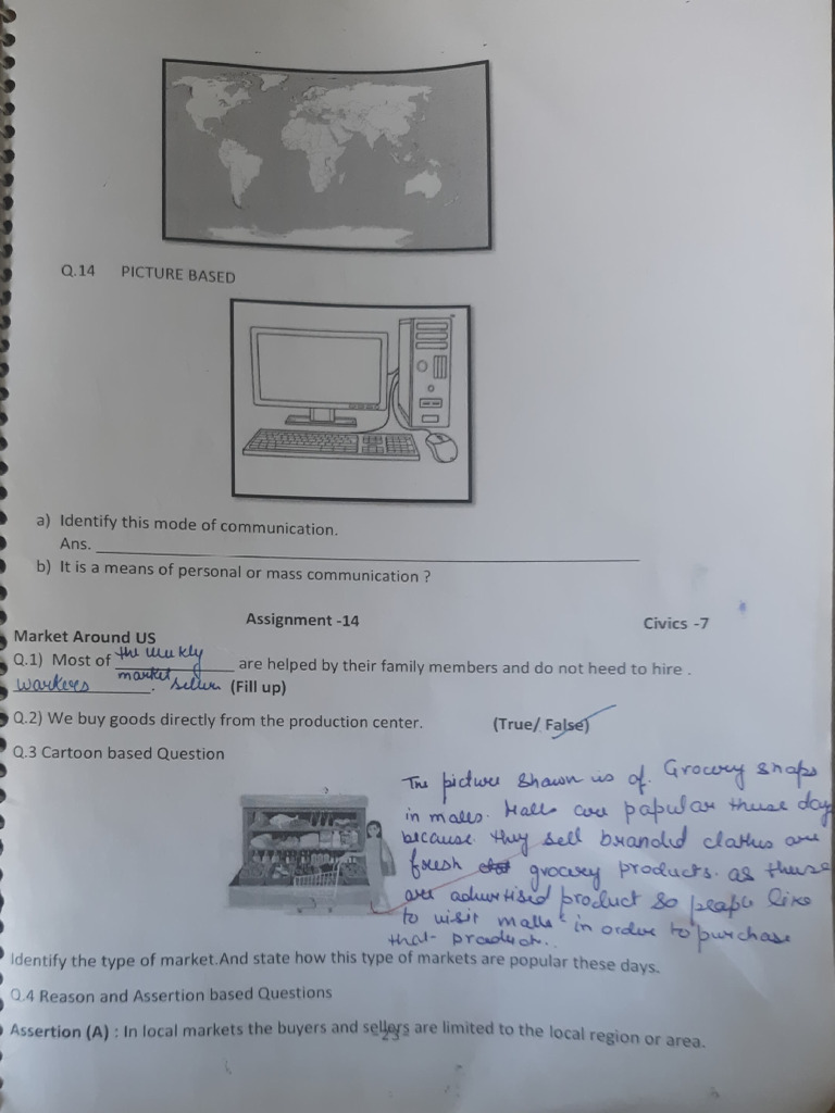 Class 7 Assignment | PDF