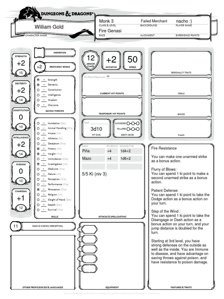 D&D Character Sheet Guide | PDF | Role Playing Games