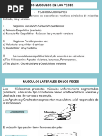 Ejemplos de Movimiento Ameboide | PDF | Músculo esquelético | Biología ...