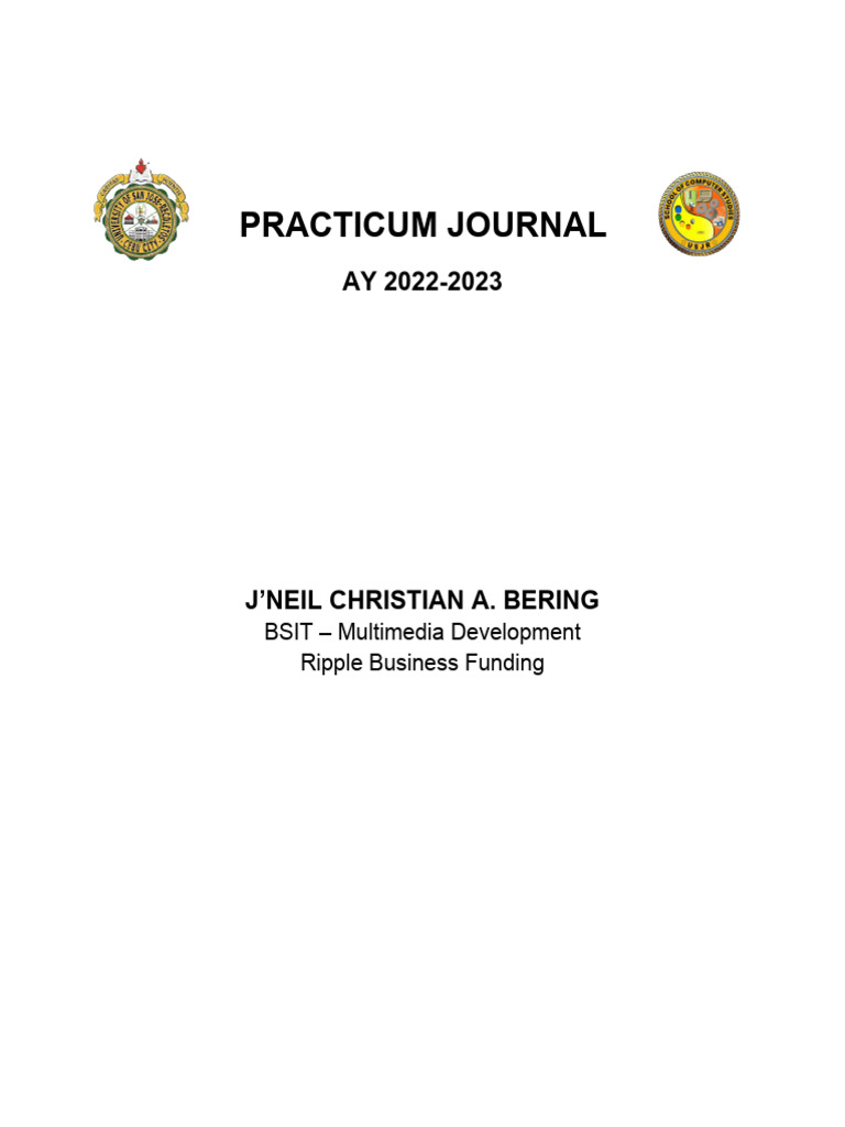 Internship Program Overview for BSIT Students | PDF | Information ...