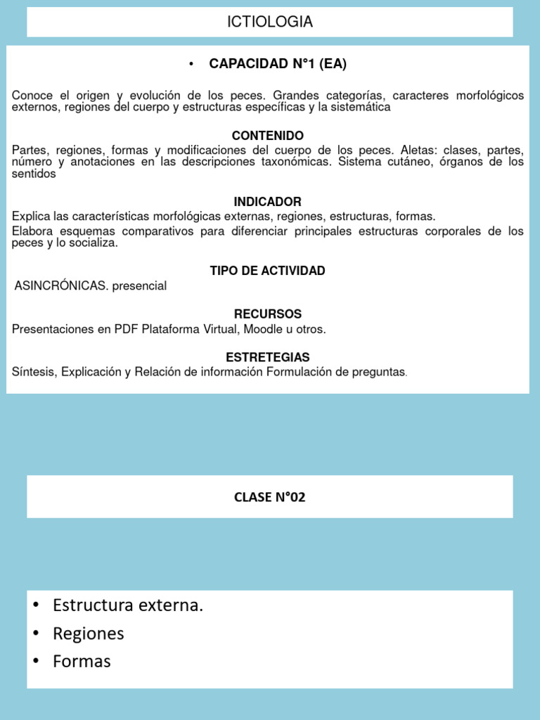 Morfología y Estructura de los Peces | PDF | Pescado | Branquia