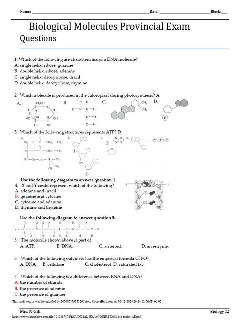 PROVINCIAL - EXAM - QUESTIONS Biological Molecules | PDF | Dna | Acid