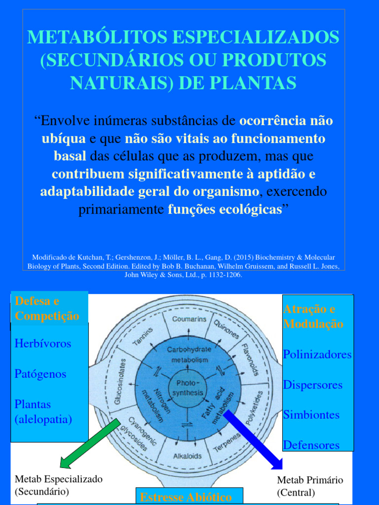 Metab. Especial Fv-Agro 2023-2 | PDF