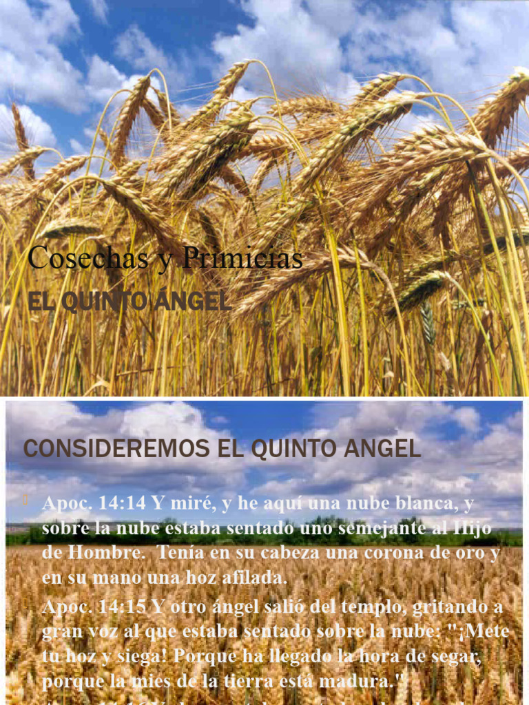 El Quinto Ángel | PDF