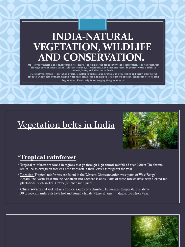 Natural Vegetation and Wildlife in India | PDF | Forests | Endangered ...
