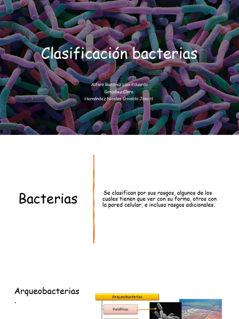 Bacterias Clasi | PDF | Las bacterias | Cianobacterias