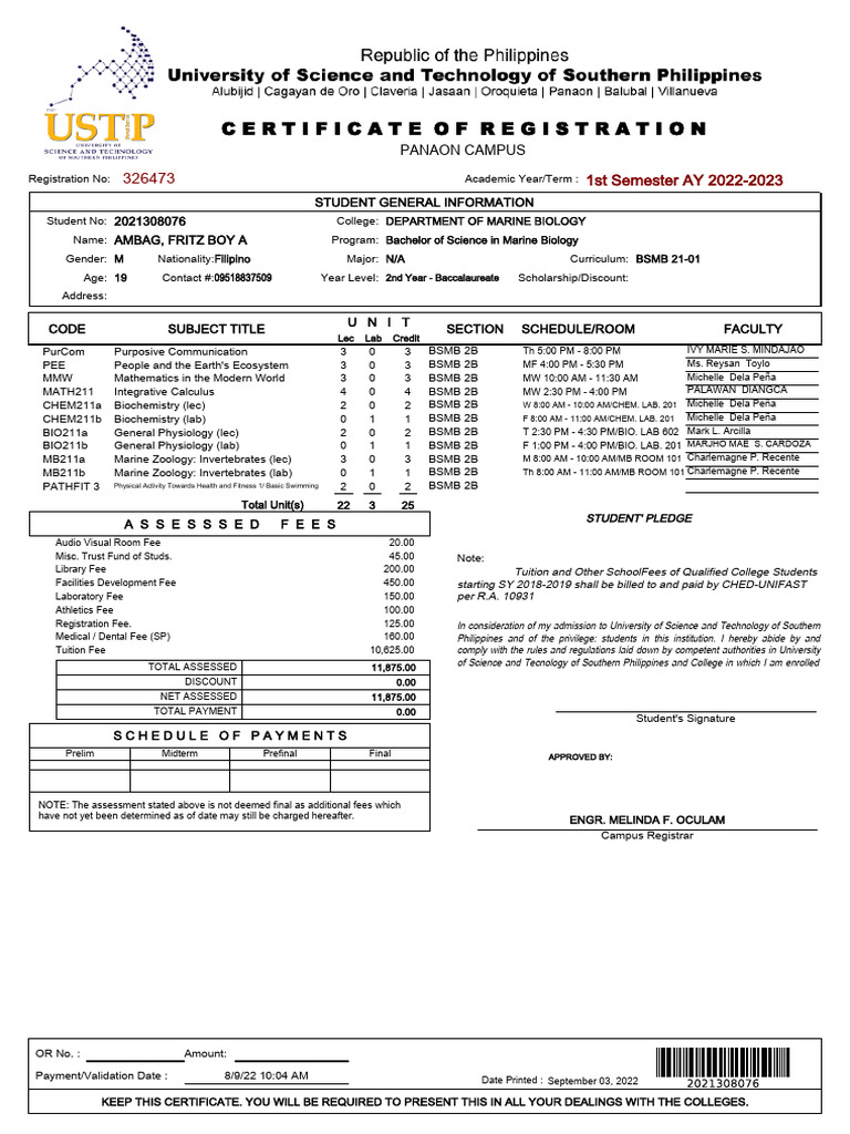 Student Actual Load Ustp | PDF
