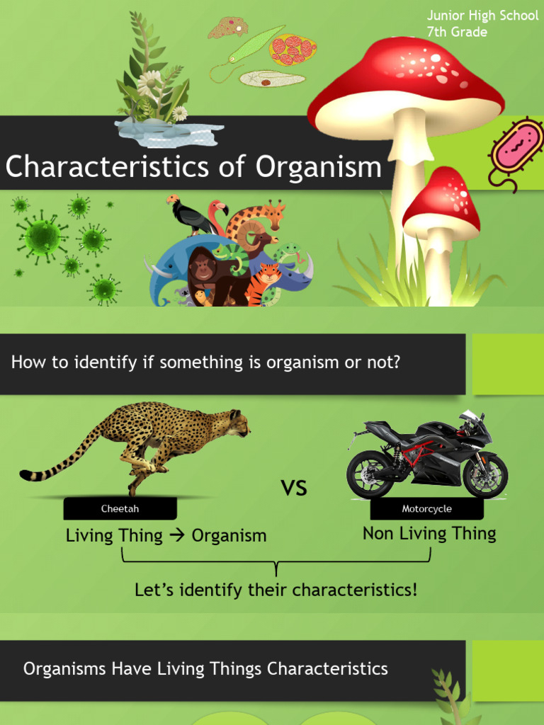 Characteristics of Organism | Download Free PDF | Organisms | Breathing