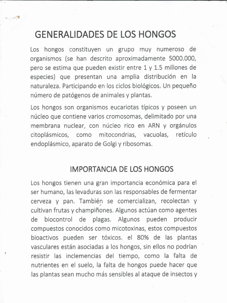Generalidades de Los Hongos | PDF