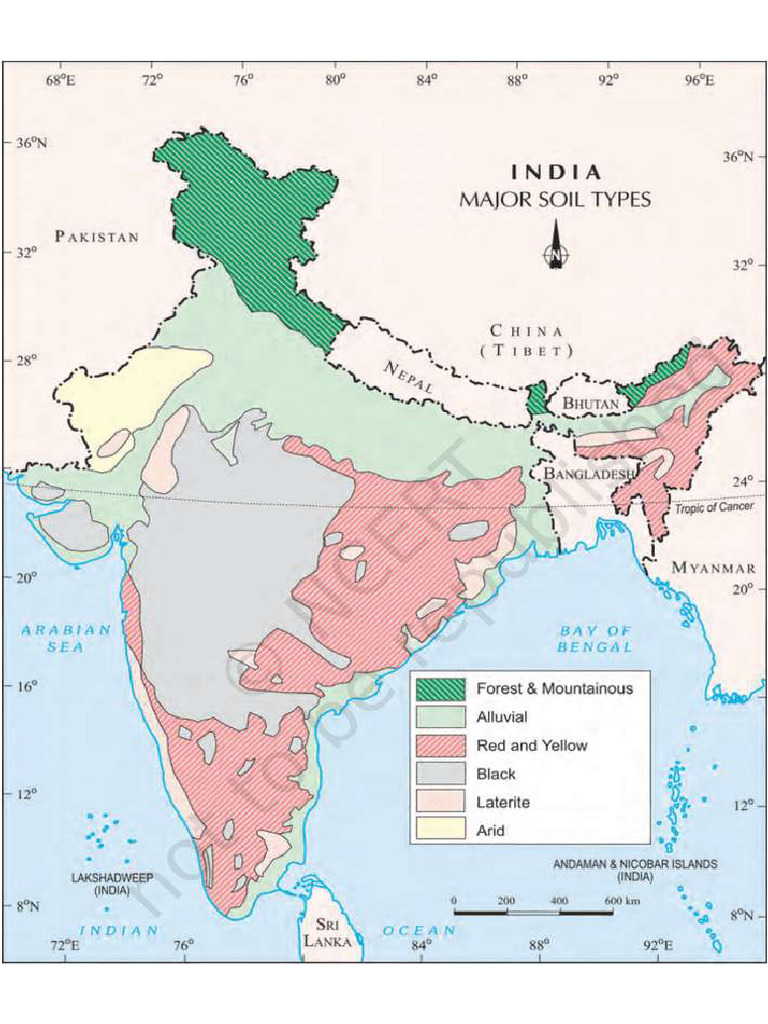 Class 10 Geography Major Soil Types | PDF