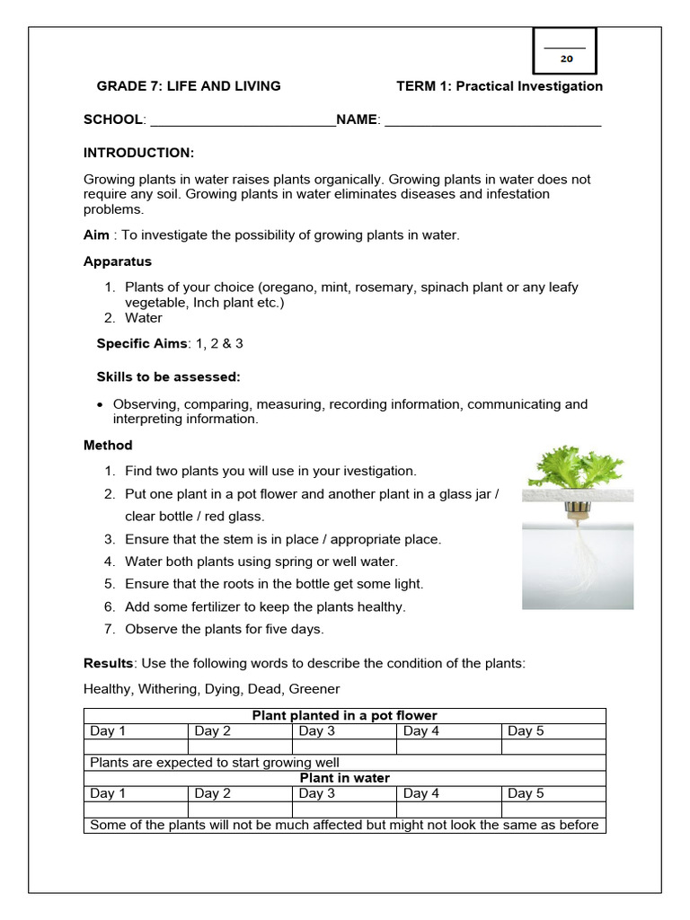 Grade 7 Term 1 Practical Memo | PDF