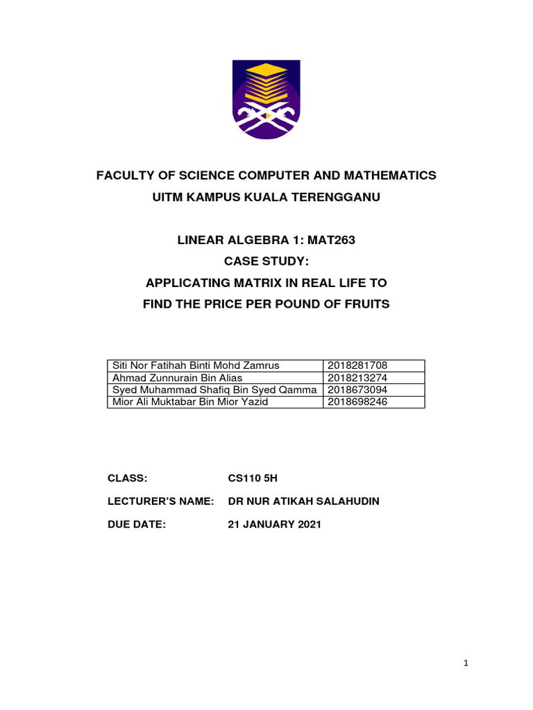 MAT263 Case Study Report PDF | Download Free PDF | Matrix (Mathematics) | Determinant