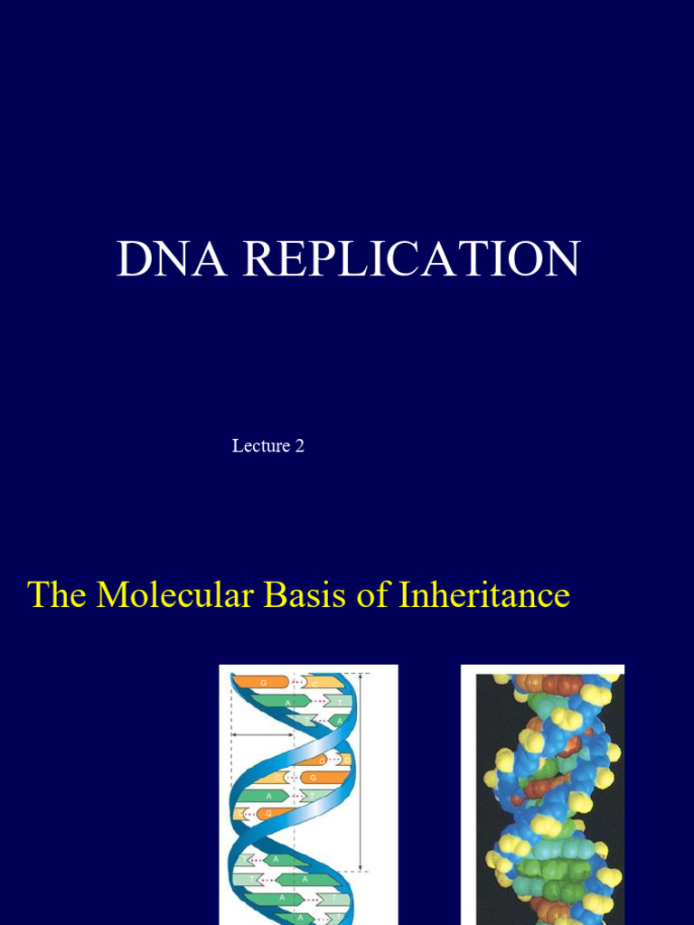 DNA Replication Lecture 2 | PDF | Dna Replication | Dna
