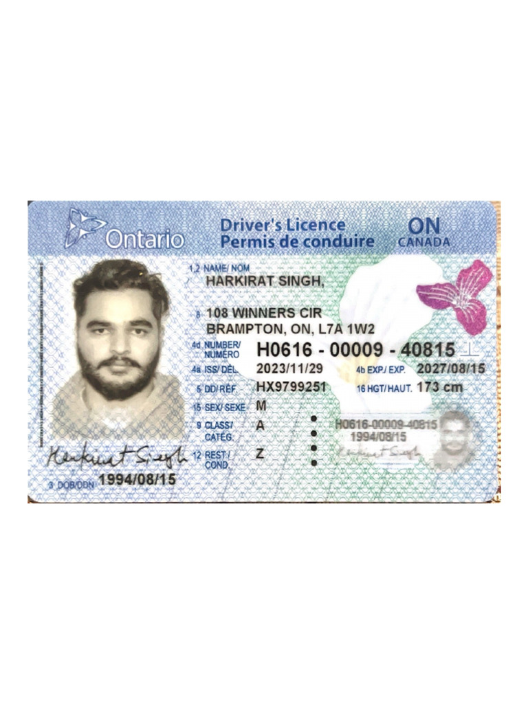 Driver's Licence | PDF