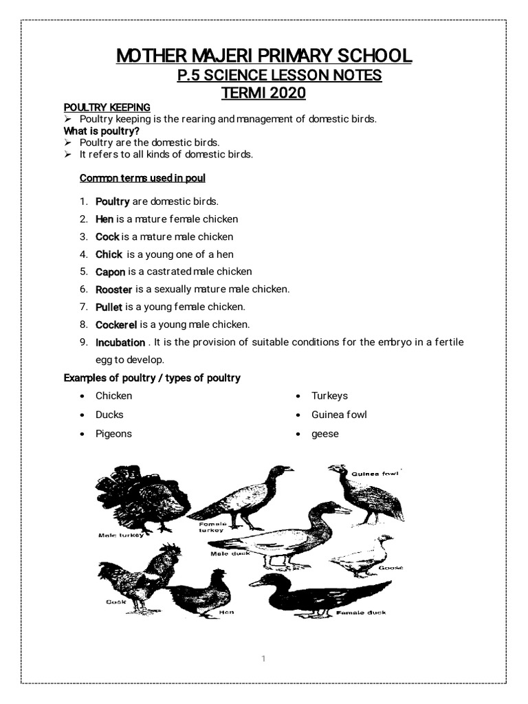 P 5 Science Lesson Notes Term 1 2020 Pdf