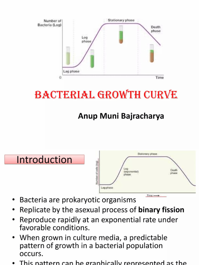 Bacterial Growth Curve | PDF