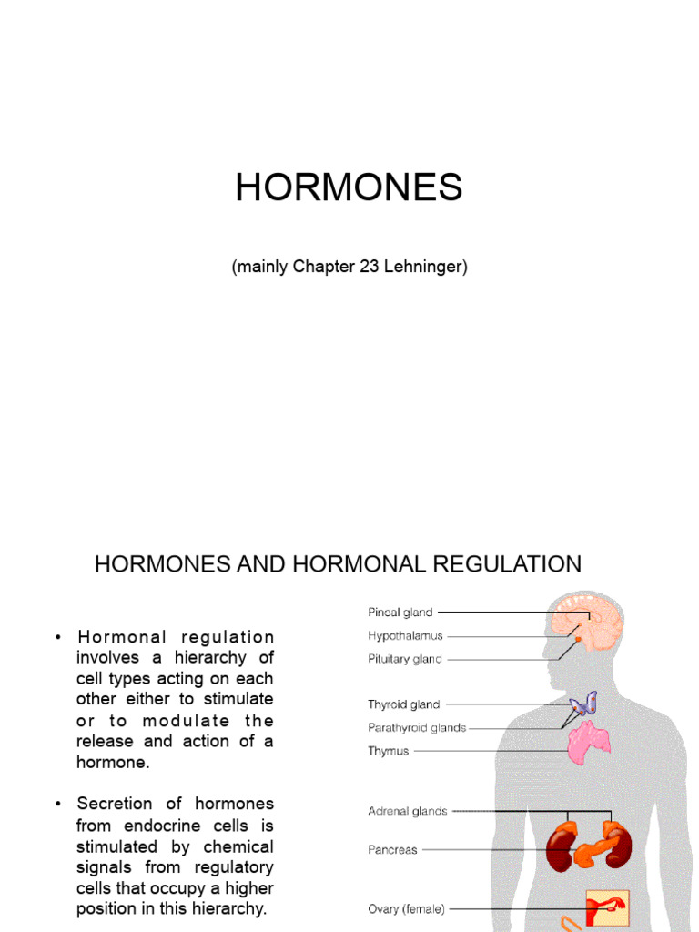 Hormones | PDF | Hormone | Prostaglandin