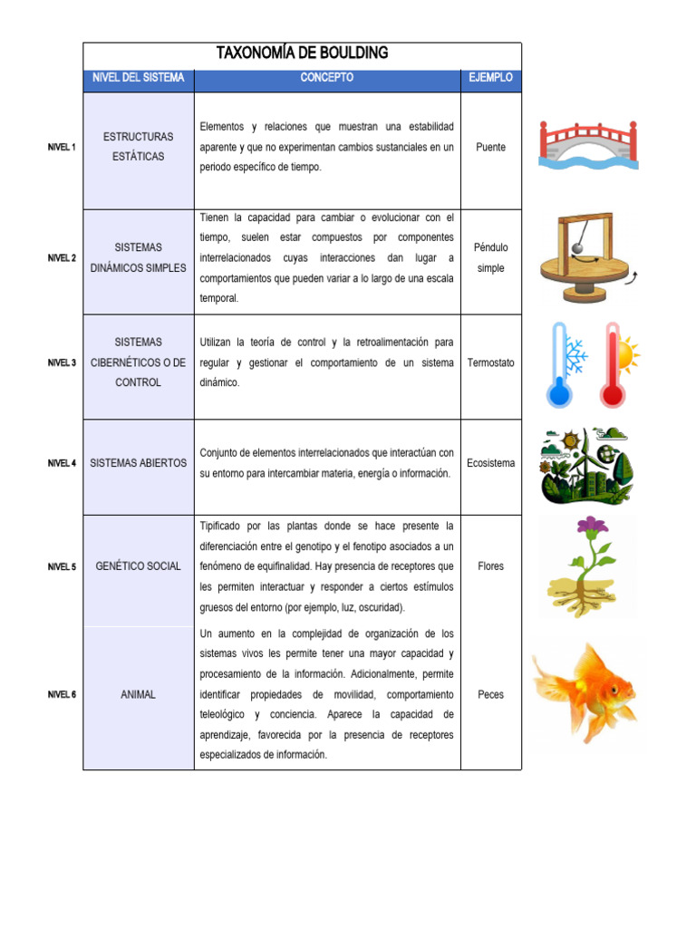 Taxonomía de Boulding: 9 Niveles | PDF | Sistema | Comportamiento