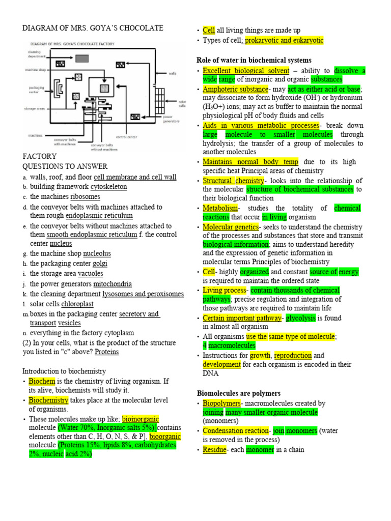 Biochem Midterm Reviewer | PDF | Carbohydrates | Fatty Acid