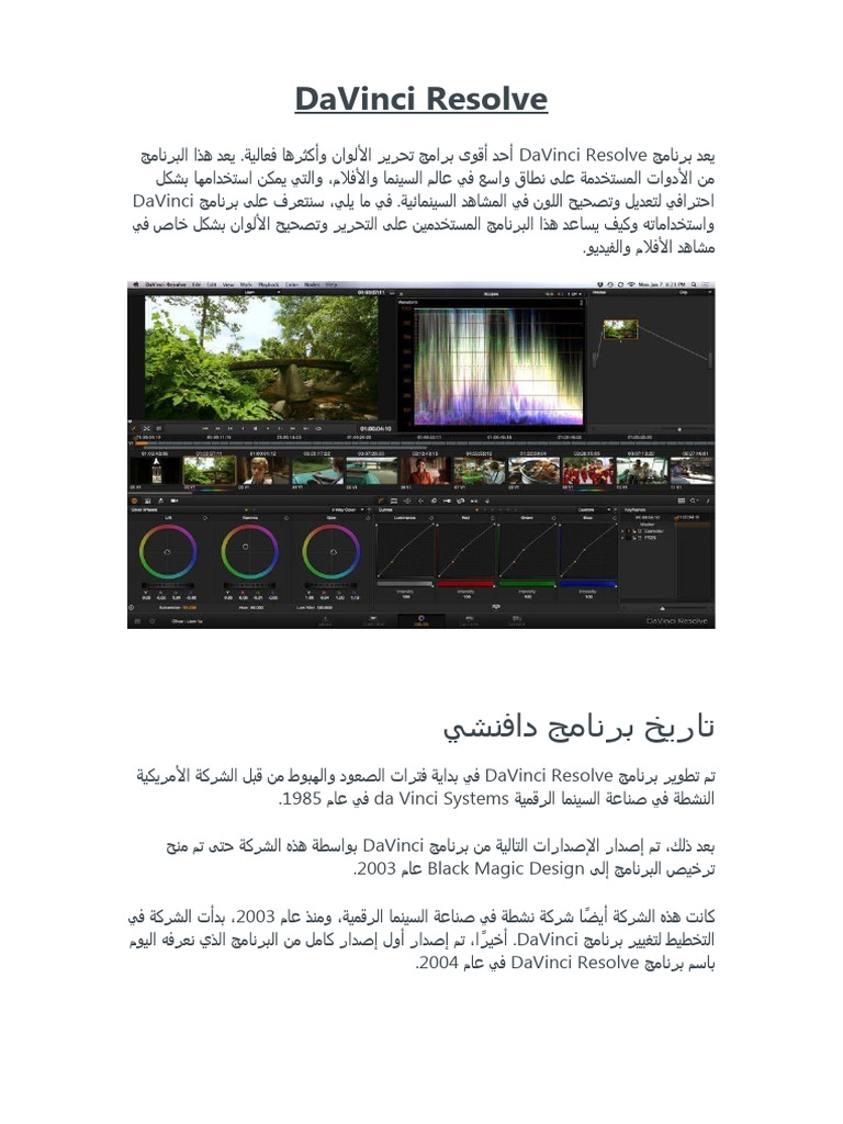 DaVinci Resolve | PDF