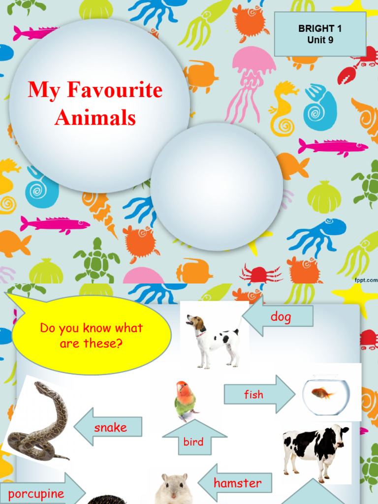 My Favourite Animals | PDF