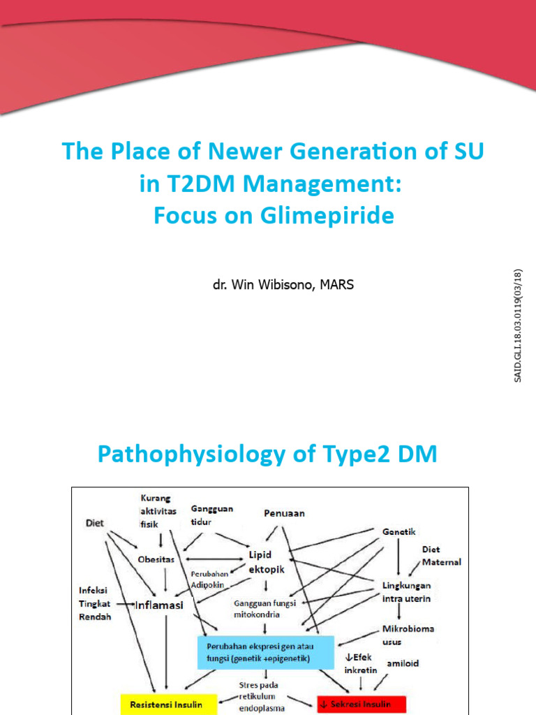 2018 RTD Slide - The Place of Newer Generation SU | PDF | Glycated ...