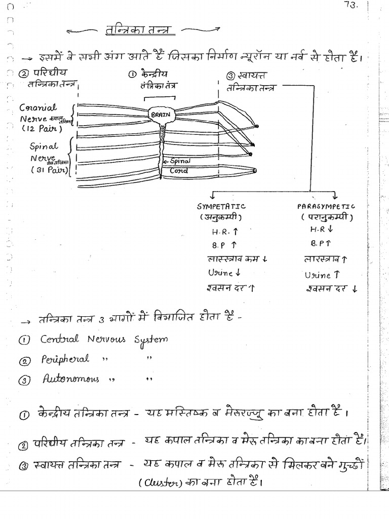 Class Notes 3 Pdf 7198