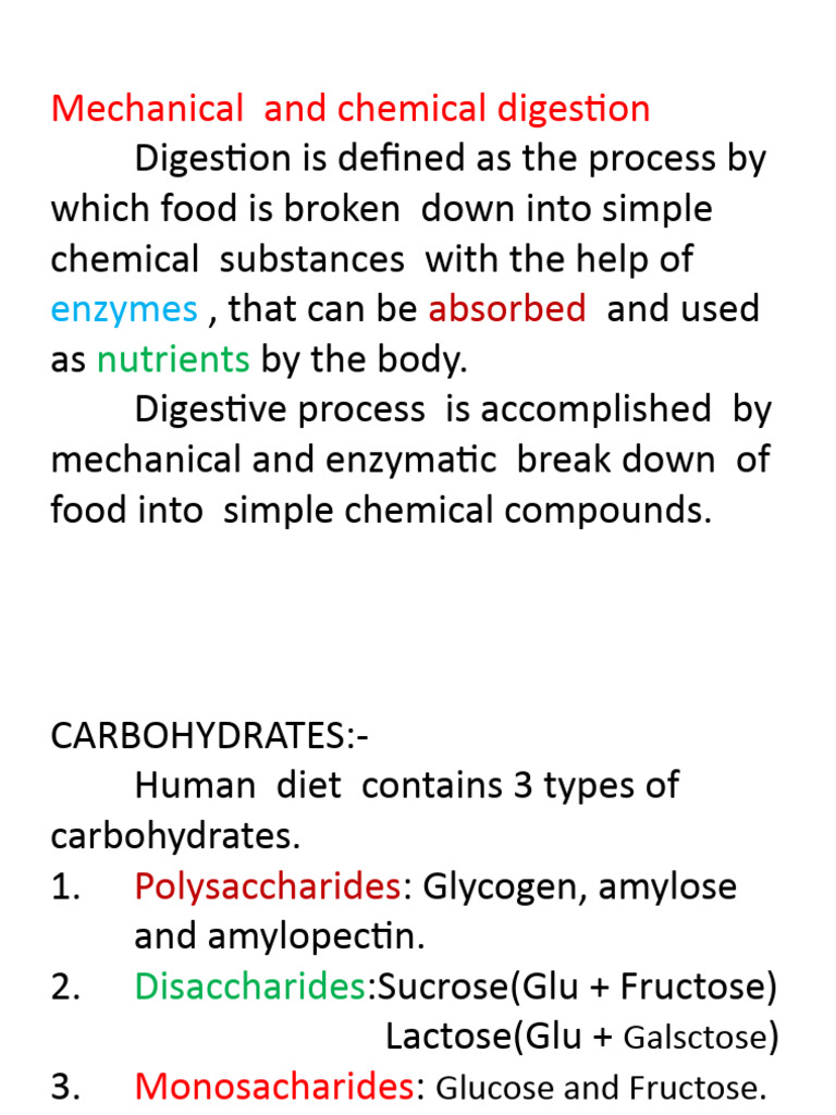 Digestive Processes: Mechanical & Chemical | PDF | Digestion | Stomach