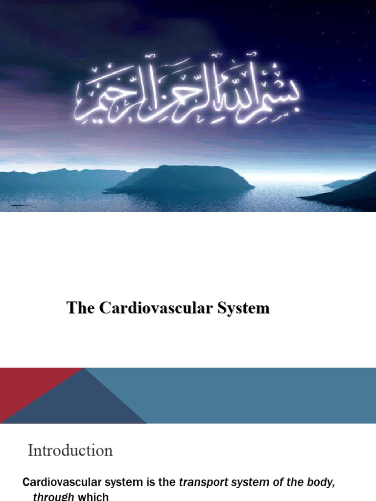 Lect 8. Cardiovascular System | PDF | Heart Valve | Heart