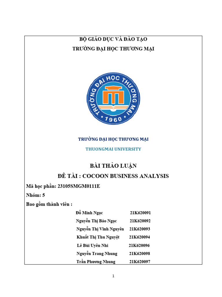 Cocoon Business Analysis in Vietnam | PDF | Brand | Product (Business)