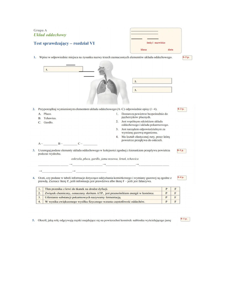 Uklad Odechowy | PDF