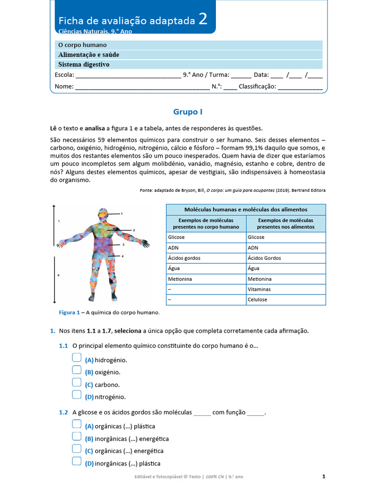 (2.4.2) 100%CN9 - (Ficha - Avaliacao - Adaptada2) | PDF | Digestão | Corpo humano