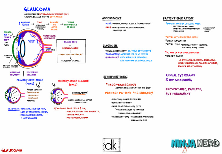 Nursing Pathology - 005) Glaucoma - NCLEX (Illustrations - Key) | PDF