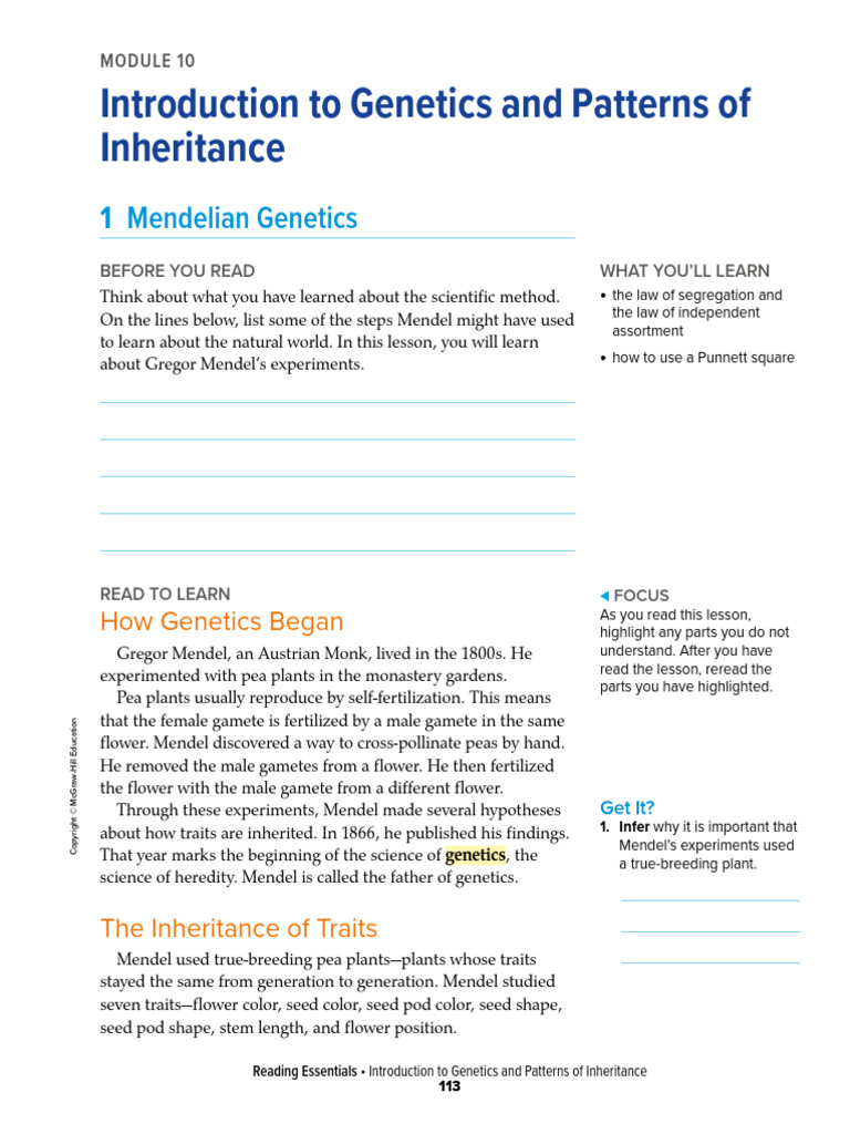 Reading Essentials - Mendelian Genetics | PDF | Dominance (Genetics) | Genotype