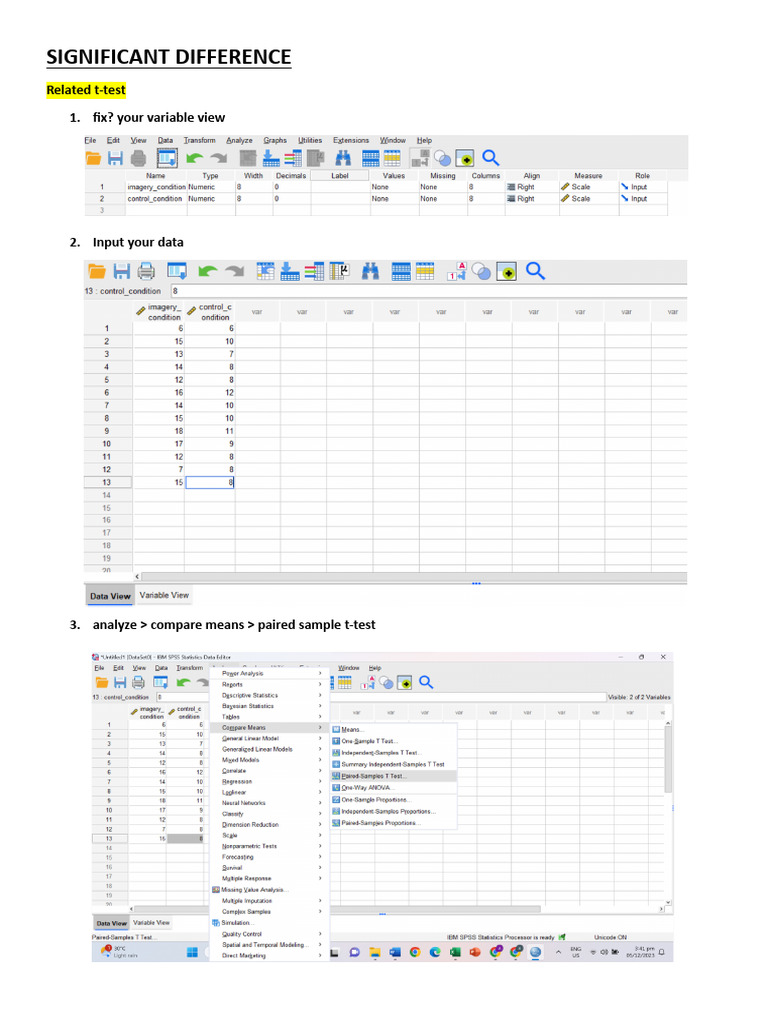 SPSS Hypothesis Test | PDF